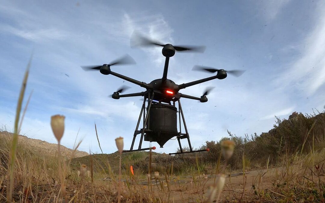 AI-powered reforestation drone company secures first-of-its-kind ...